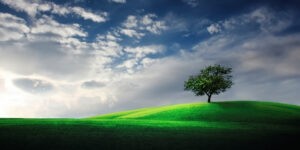 Why Is My Backspace Not Working? (8 Smart Tips That Will Help You)