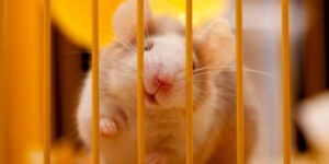 How To Lock Mouse To One Monitor (3 Useful Tips That Work)