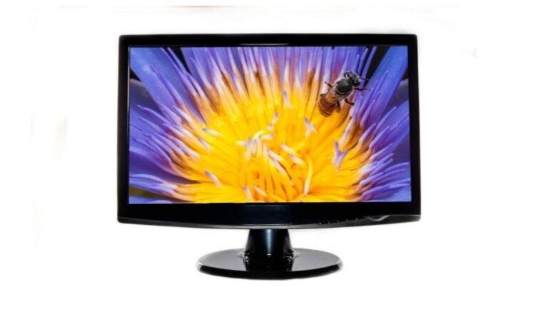 How Much Does a Monitor Weigh (A Definitive Guide) - TechTreatBox